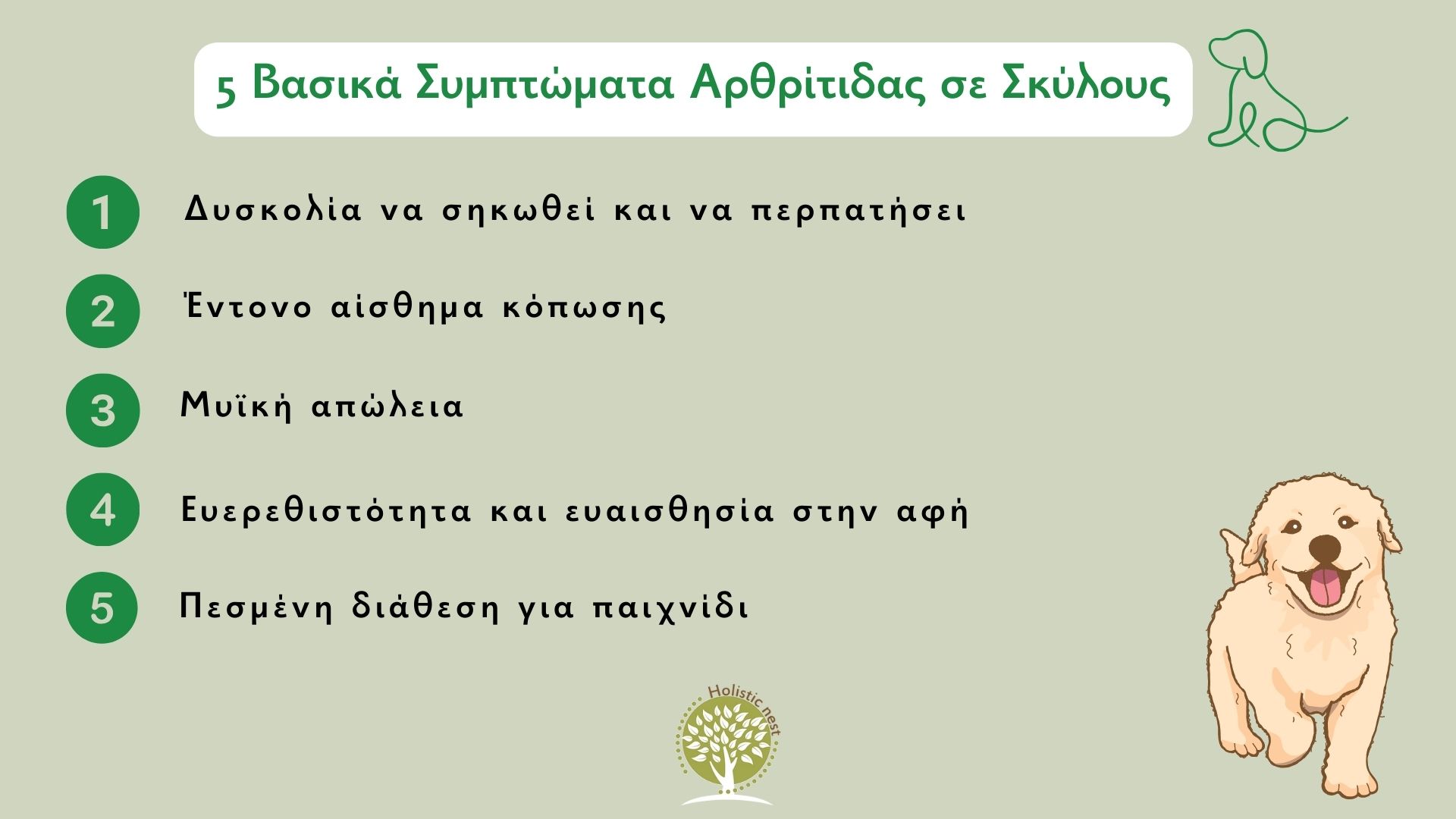 Αρθρίτιδα στα Σκυλιά: Αίτια & Θεραπευτική Αντιμετώπιση (2025)